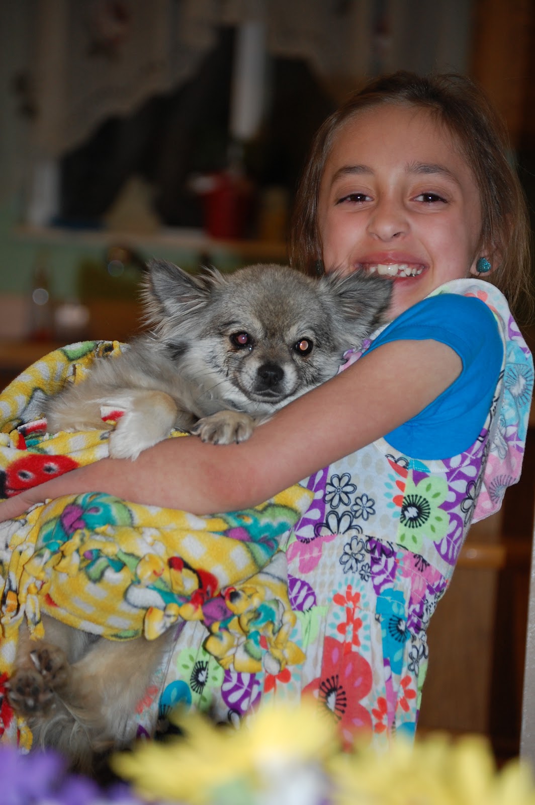 the-panameno-s-pretty-princesses-dog-sitting