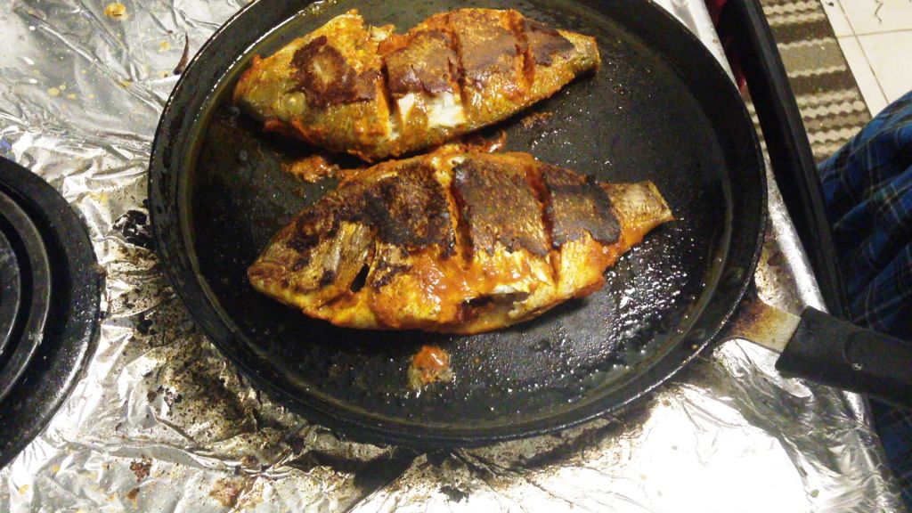 Porgy fried Fish