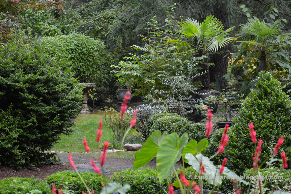 MySecretGarden: Fall Garden Snaps