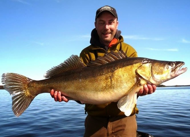 Big Fishes of the World: ZANDER page 2