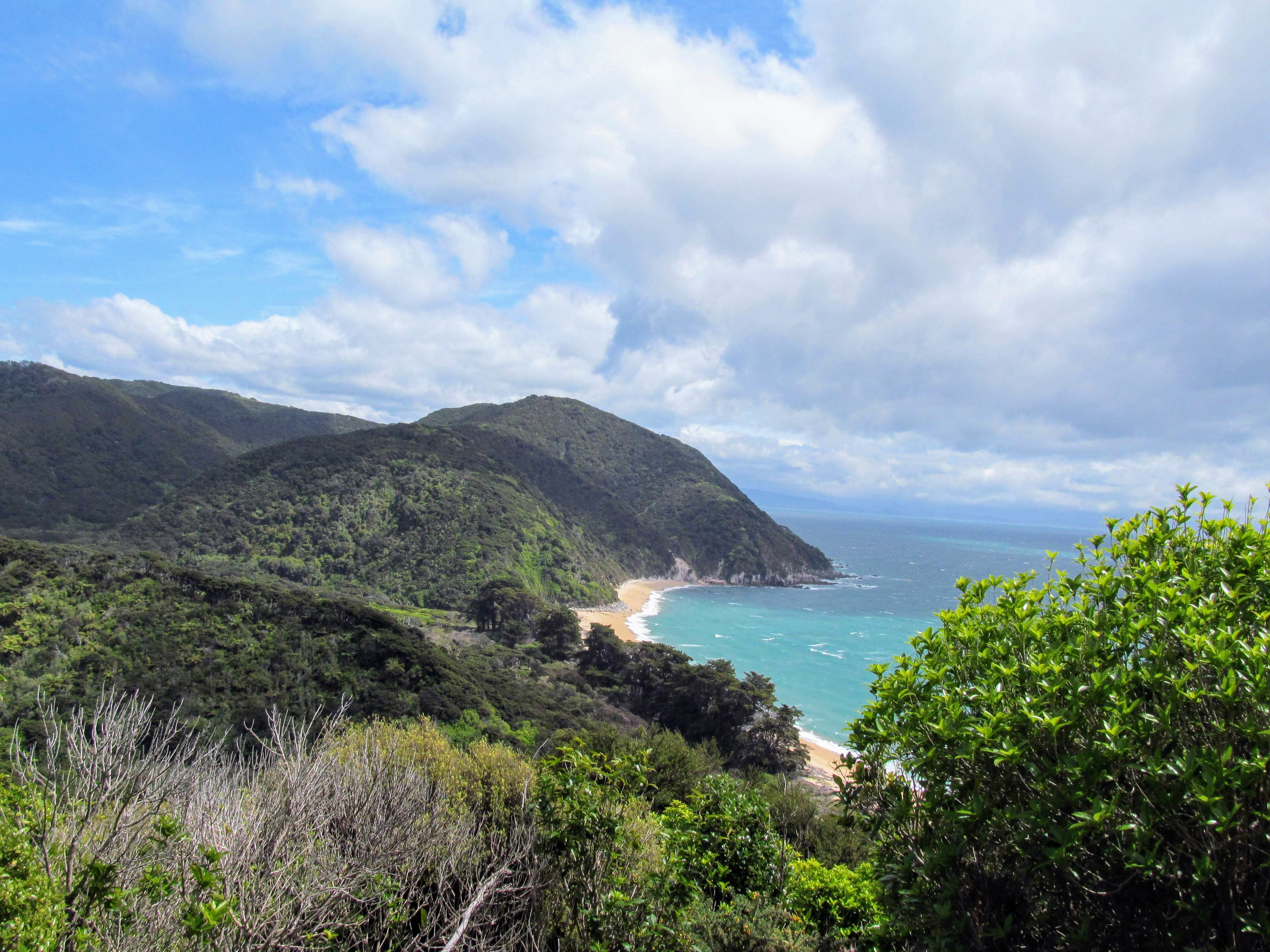 Tramping in the New Zealand backcountry: NZ Bush Adventures: Wainui ...