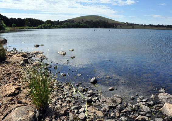 a bit of everything: Newlyn Reservoir in the Central Highlands.