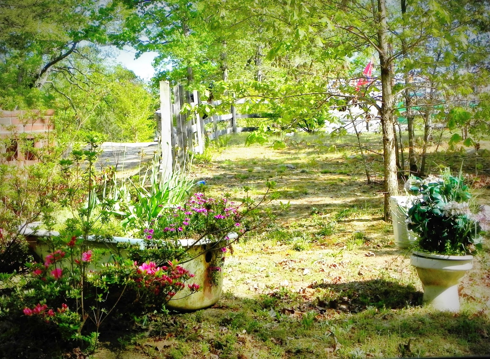 Let Your Light Shine: Potty Break