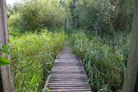 WWAWWW: IJsselstein via Utrecht