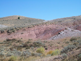 Beware the Oryctodromeus