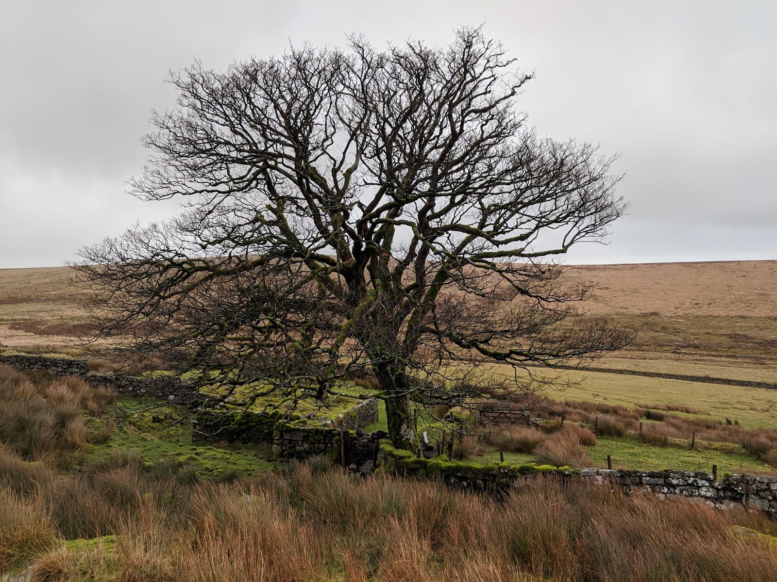 Max Piper - Tor Bagger: Dartmoor: Erme Pits from Lud Gate (12.1 miles)
