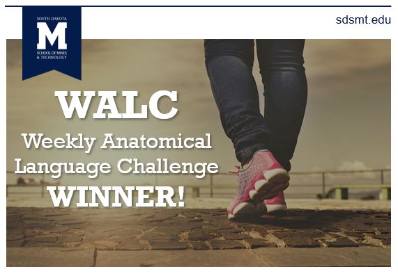 The Atrium: 2018 Fall Semester WALC Winner!