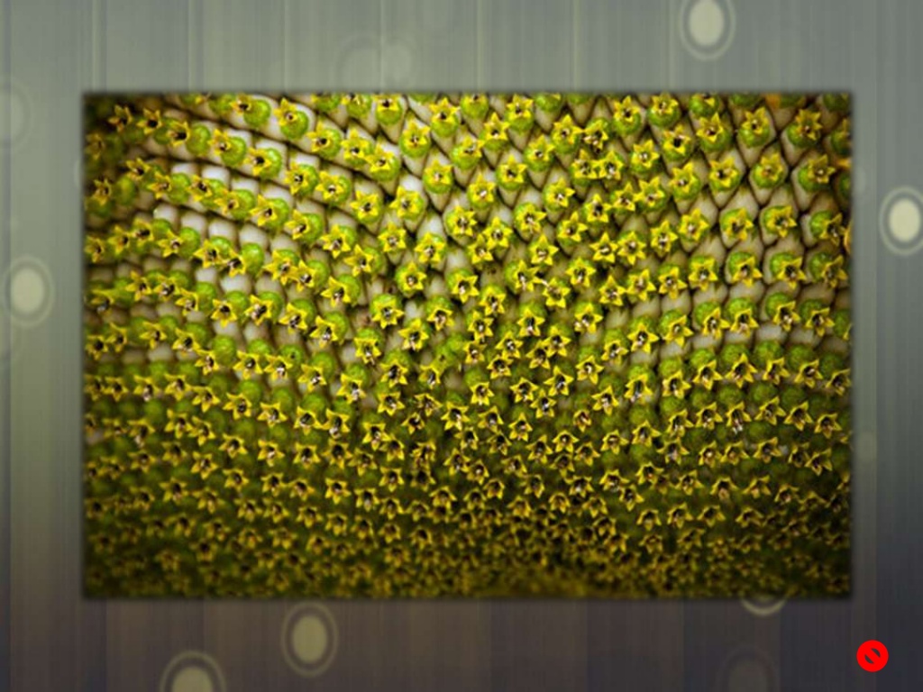 Unsur dan Prinsip Seni dalam Fotografi ~ PORTFOLIO FOTOGRAFI