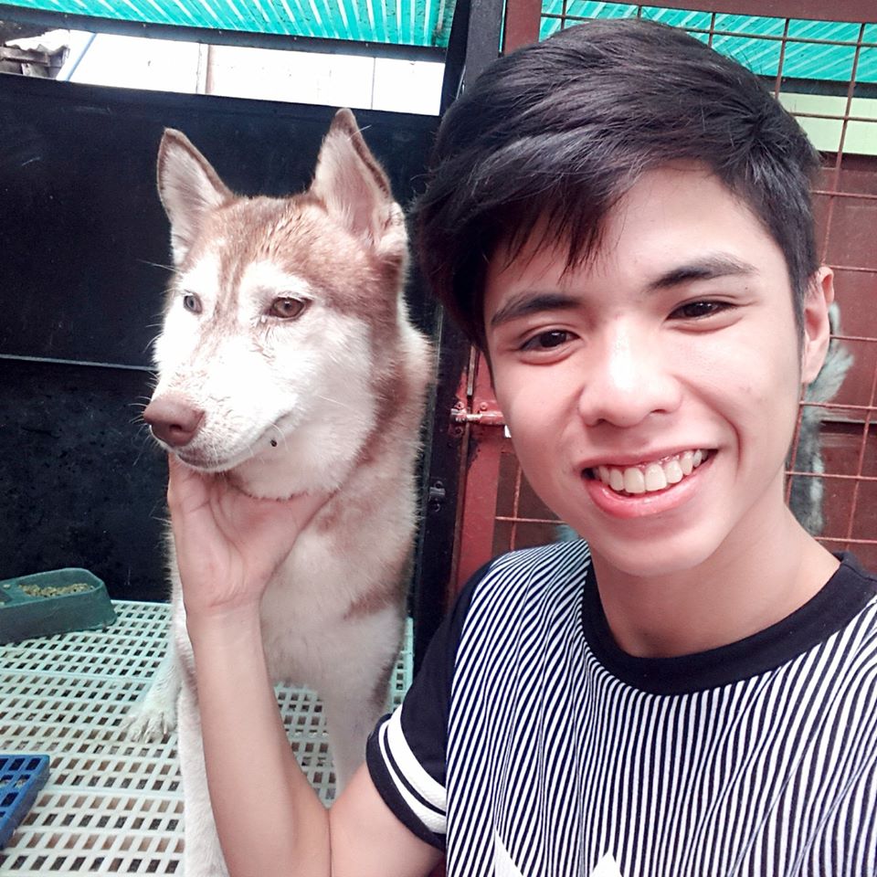 Asong gala at galisin noon, isang napakagandang aso na ngayon - The ...