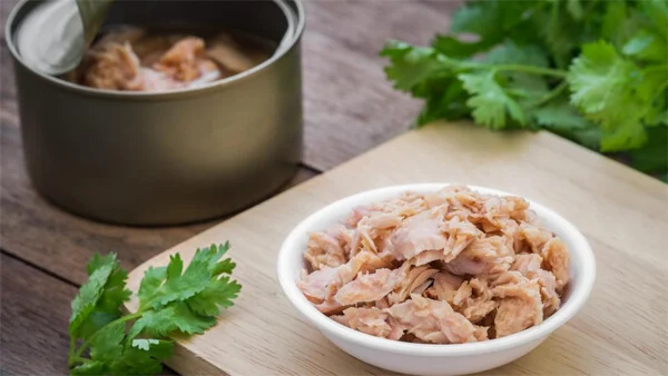 20 Foods Rich in Protein to Help You Gain Muscle