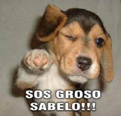 Los particularismos del argentino: Groso