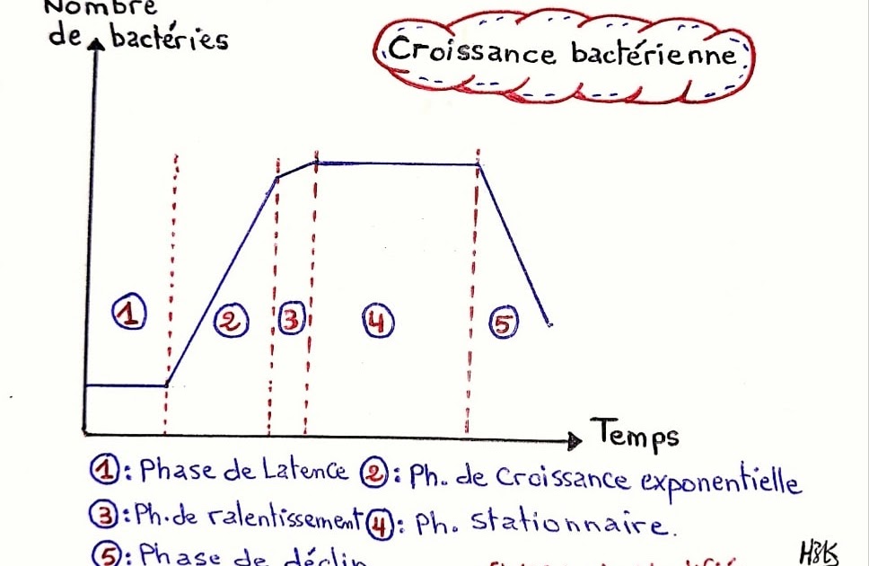 Biologie Simplifiée