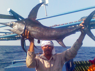 Delivery Pescados: Conheça o peixe espadarte (ou meca), a picanha do mar.