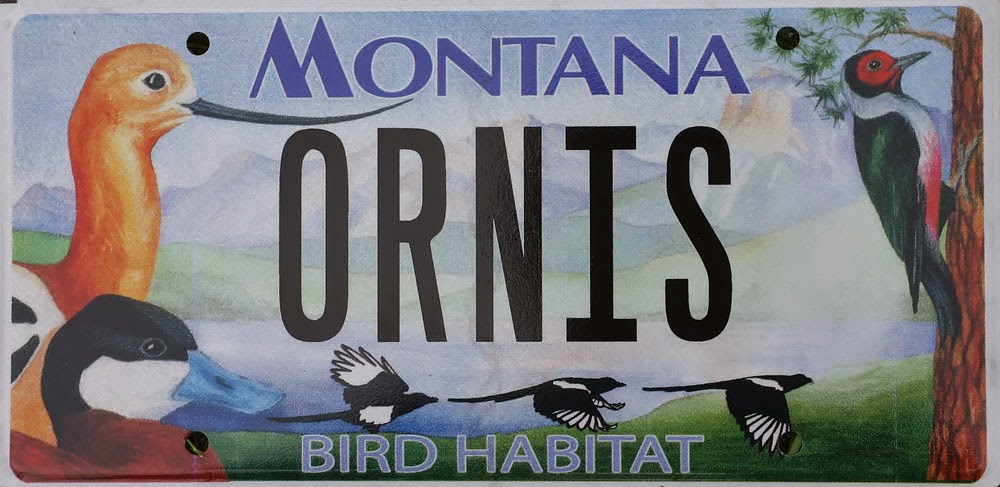 Prairie Ice: Bird Themed Personalized License Plates