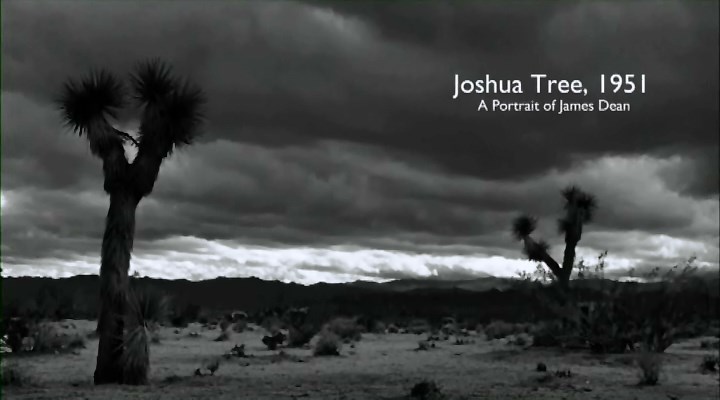 Joshua Tree, 1951 : A portrait of James Dean (2012) - Forum