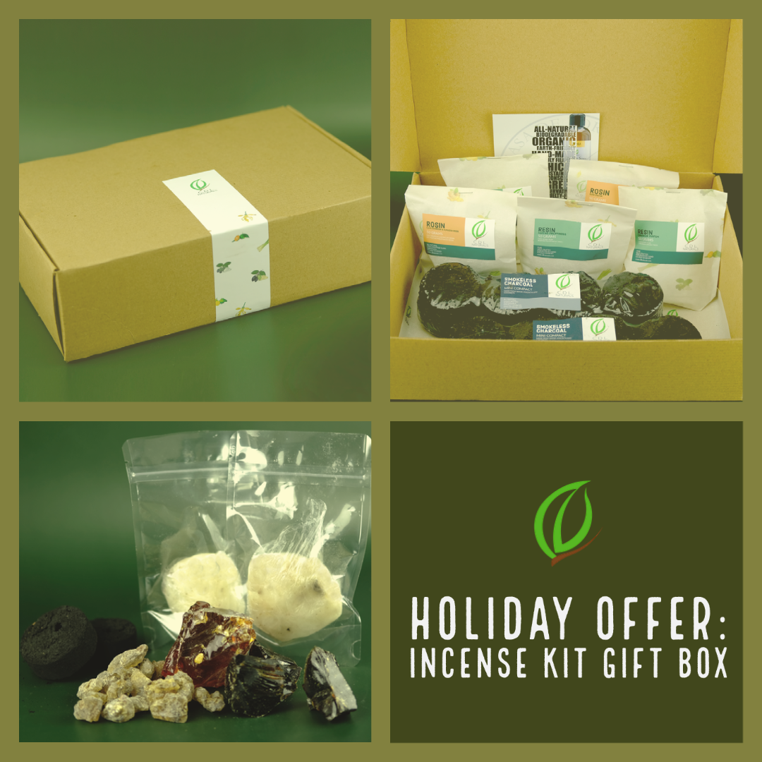 Promos by Casa de Lorenzo