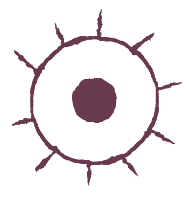 El Alcázar de Candelero: Aguas Profundas (IV) Facciones en Aguas Profundas