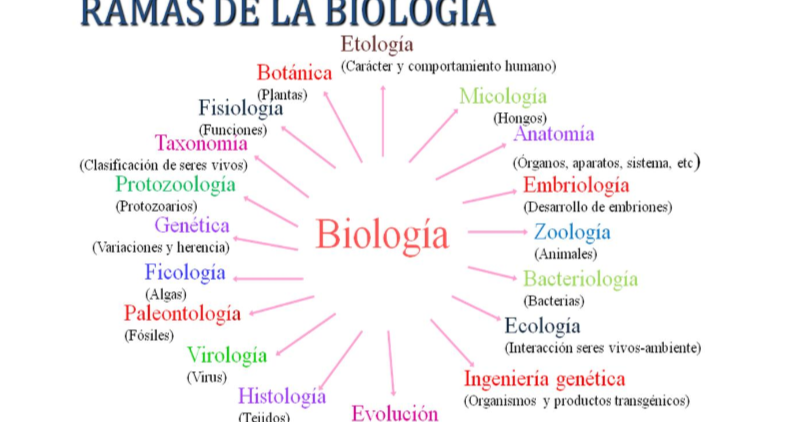 Ramas de la biología...