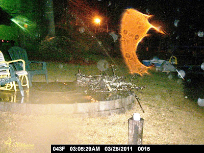 Monsters of West Virginia: Mysterious Creatures in the Mountain State