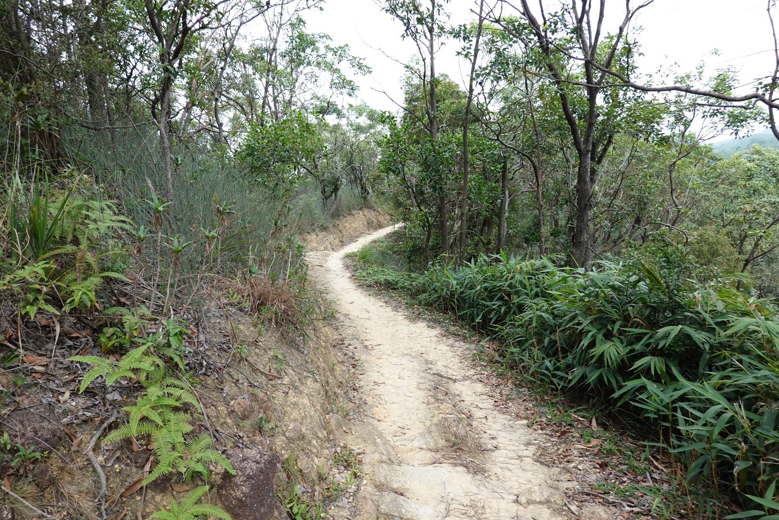 消耗五百食翻一千※香港行山記: 河背村→圓墩郊遊徑→深井 Ho Pui Village→Yuen Tun Country Trail→Sham ...