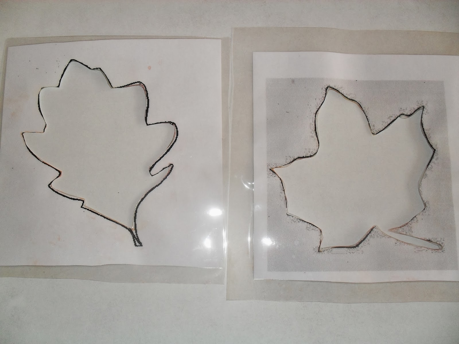 Νίκου Βασιλική Νηπιαγωγείο Δημιουργίας...: ΦΘΙΝΟΠΩΡΟ...