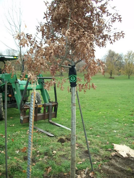 Corpse Cafe: Peter Steele Memorial