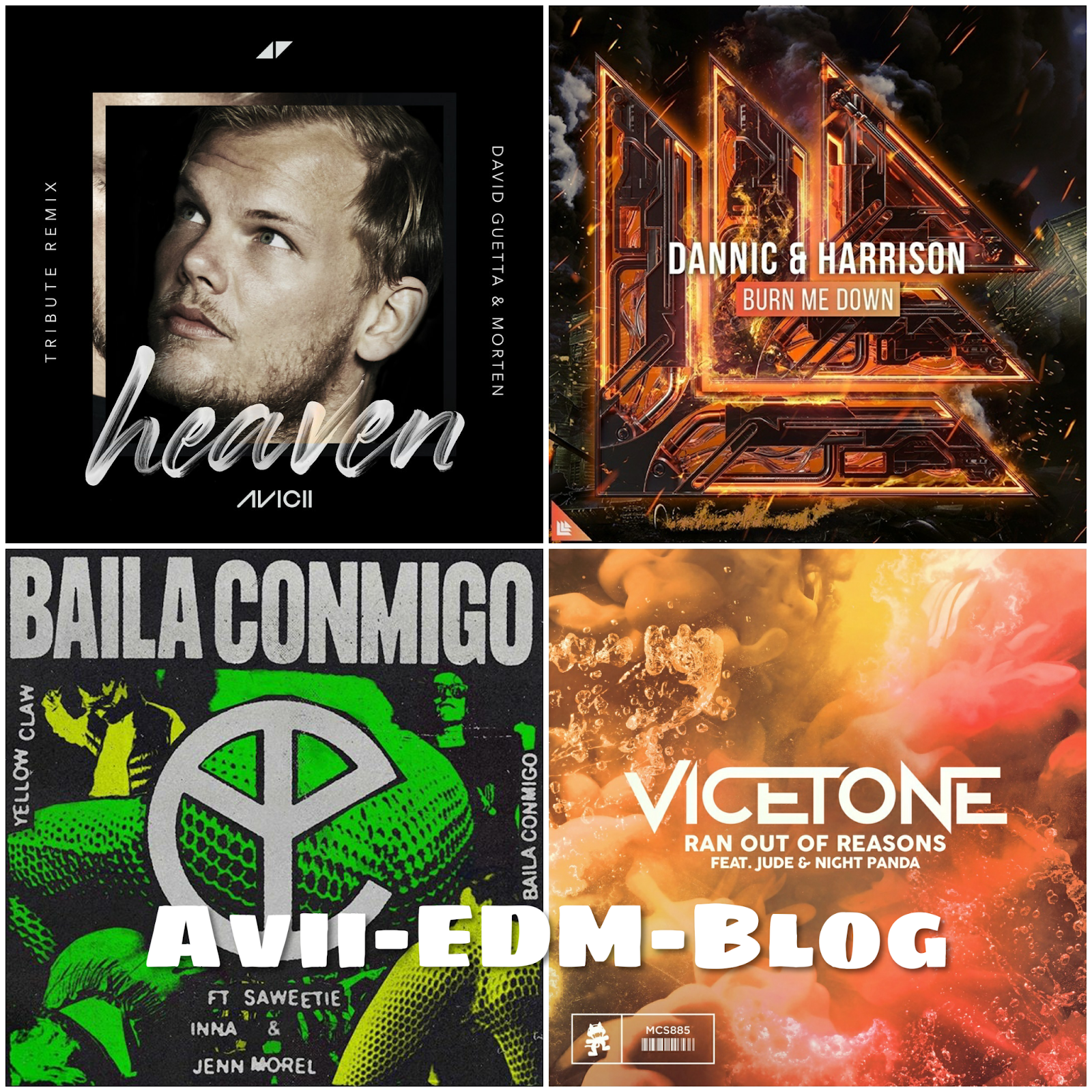 Avii-EDM-Blog: Avii-EDM-Blog Exclusive