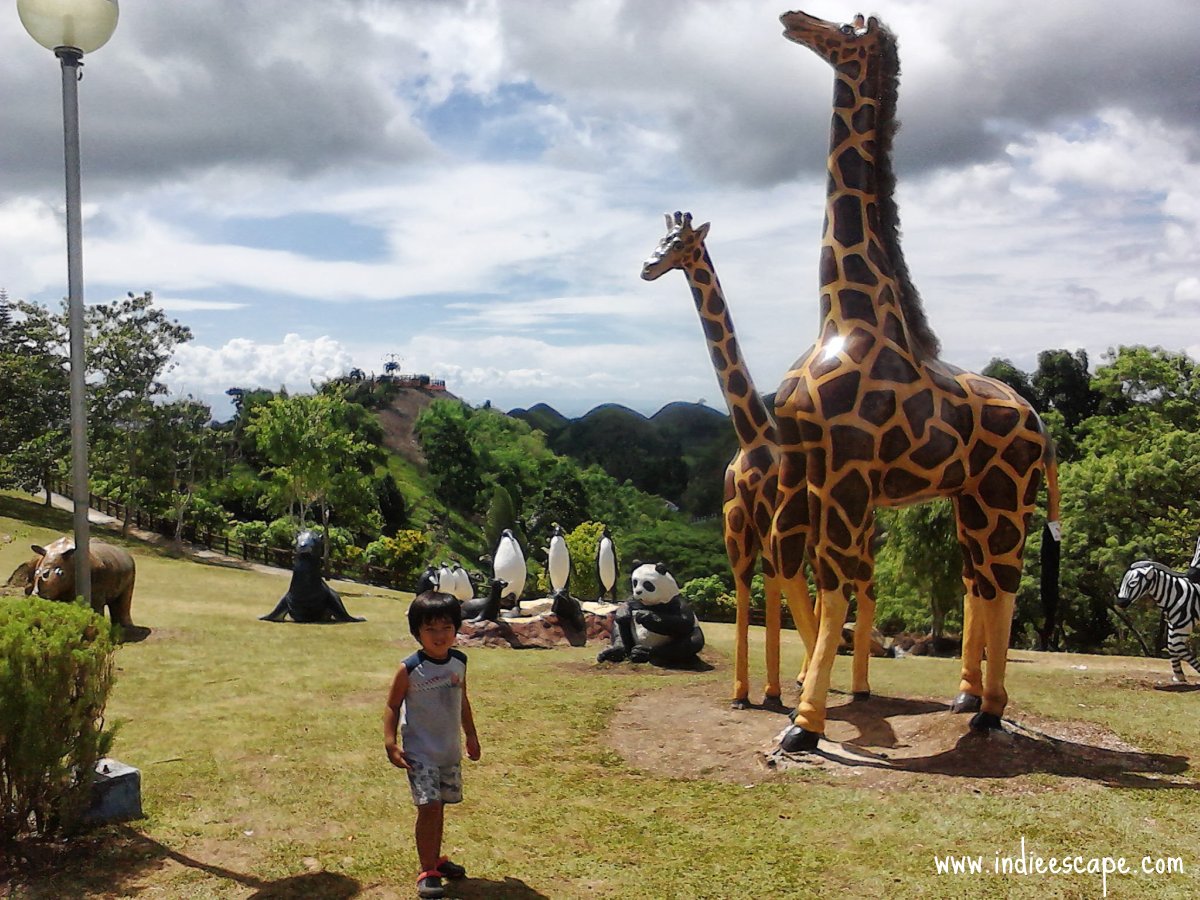 Tubigon, Bohol Tour Itinerary via Cebu | Indie Escape