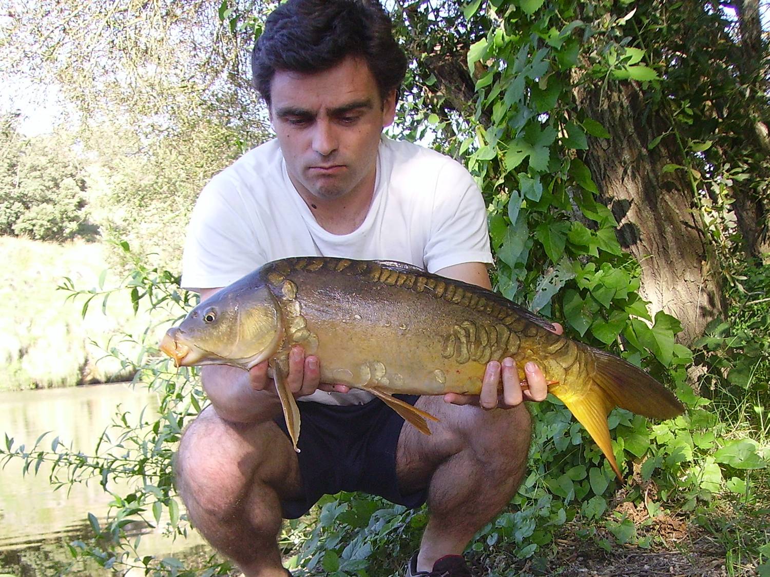 Ultimate Carper: Ultimas Capturas