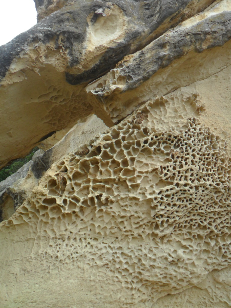 Woza Wanderer: Oamaru Victorian Heritage, Blue Penguins & Duntroon ...