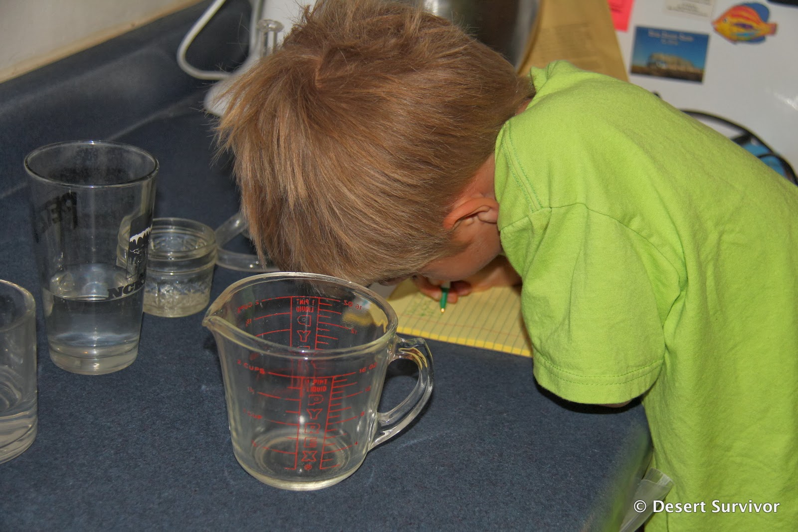 Desert Survivor: Science Experiment: Which Container Has the Most Water?