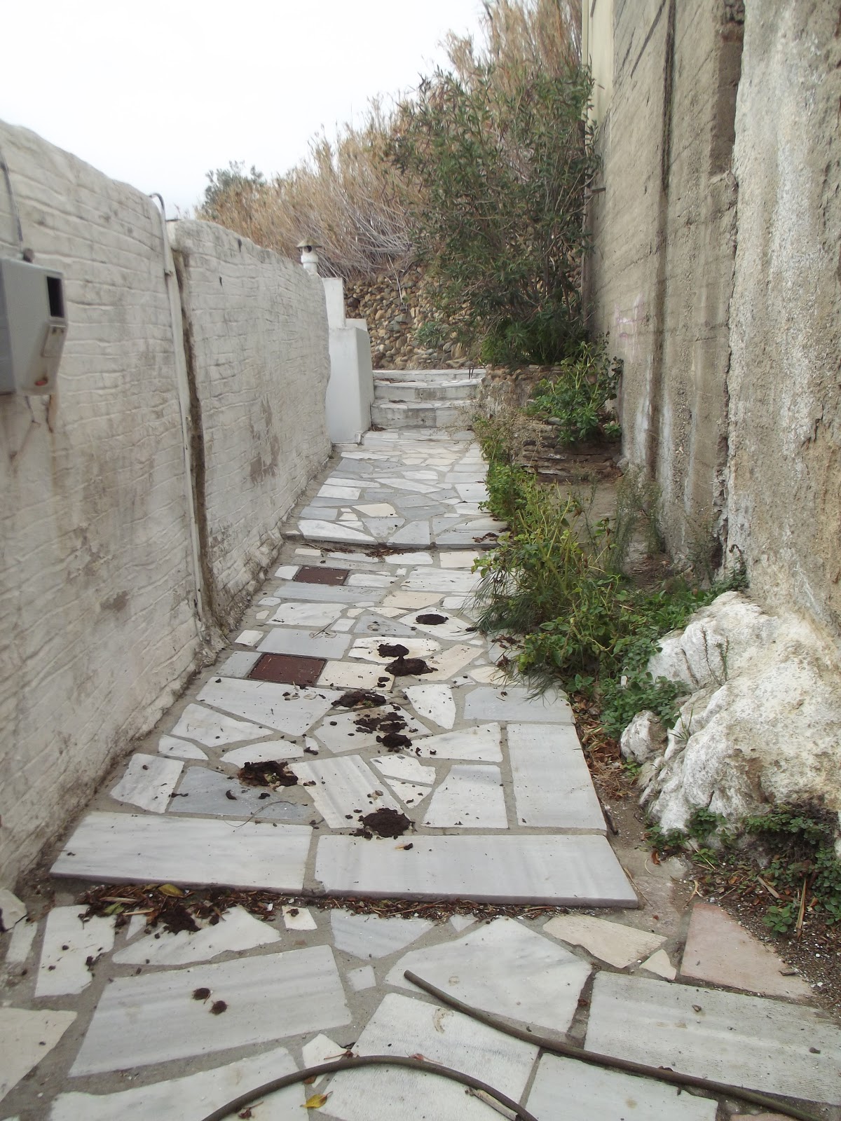 TINOS on the run: Νοεμβρίου 2012