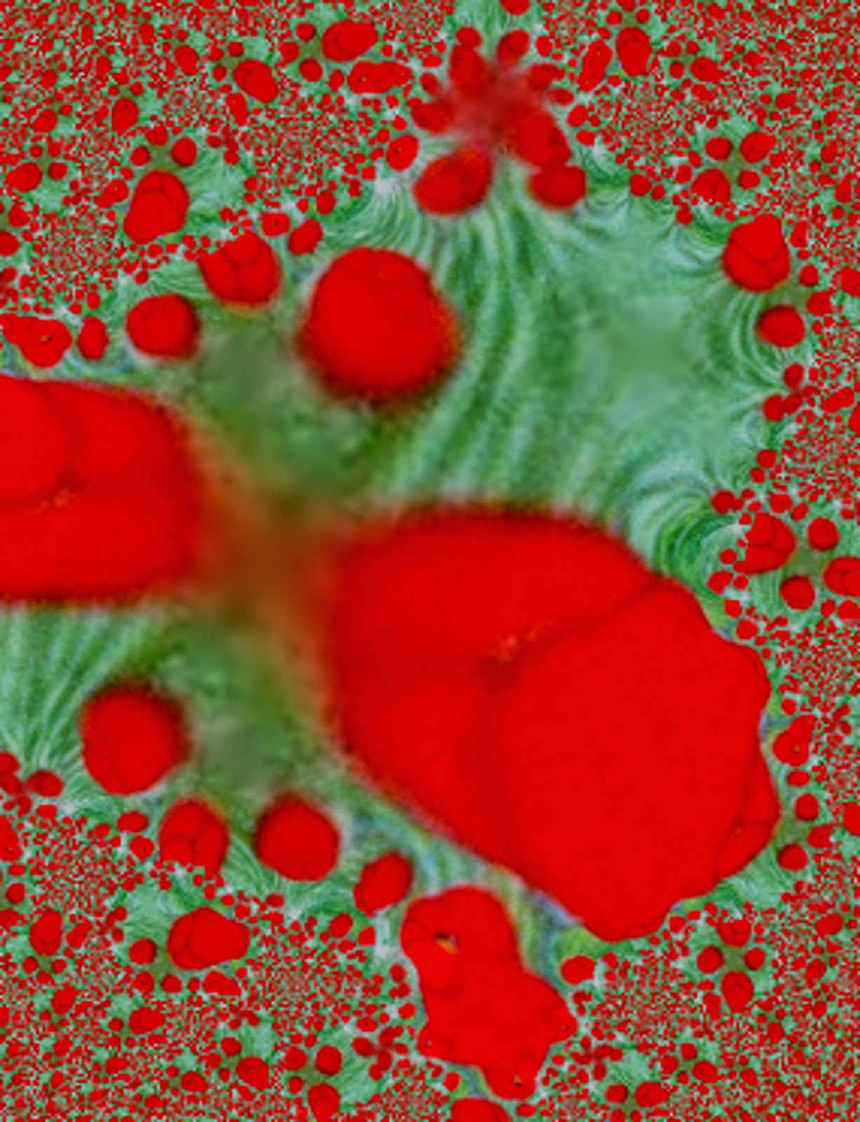 anabela fern art: red poppies, fractal trace