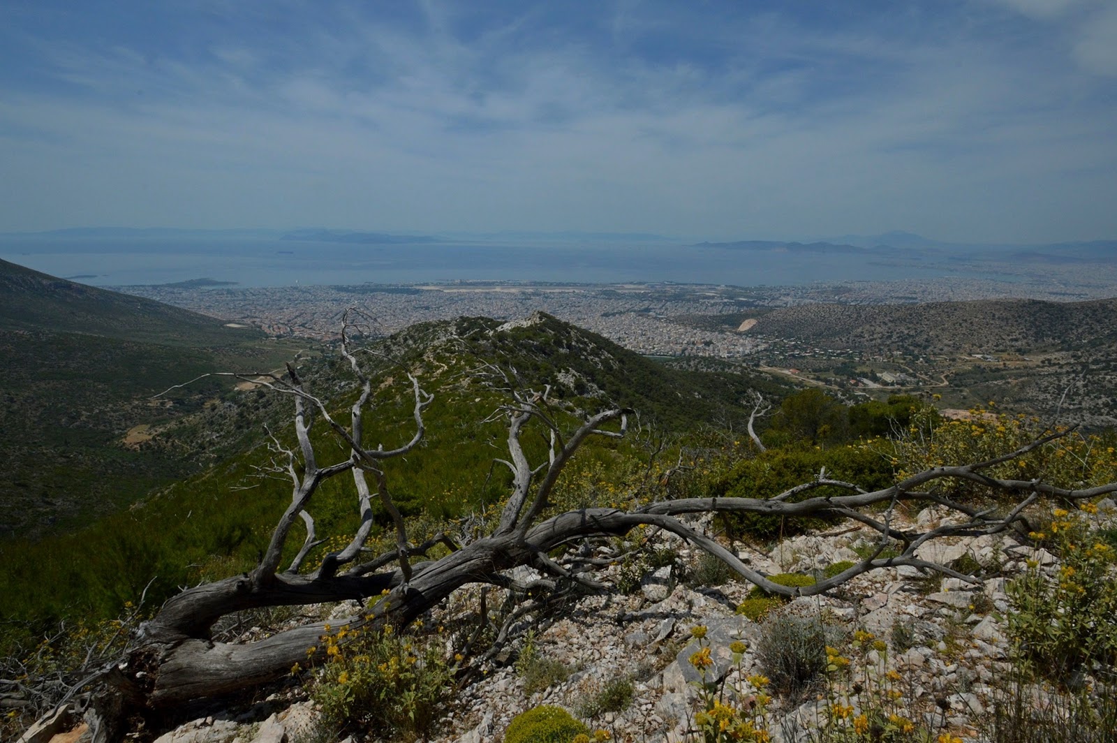 Γιώργος Πρίμπας (Στιγμές): [στο Μαυροβούνι, στο Νότιο Υμηττό, 10.05.2020]