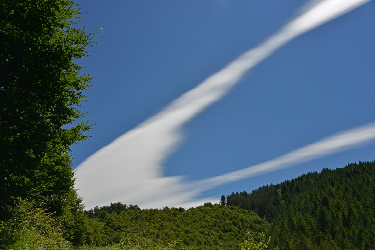 Axul-axula y de cuando en ves, un flor...