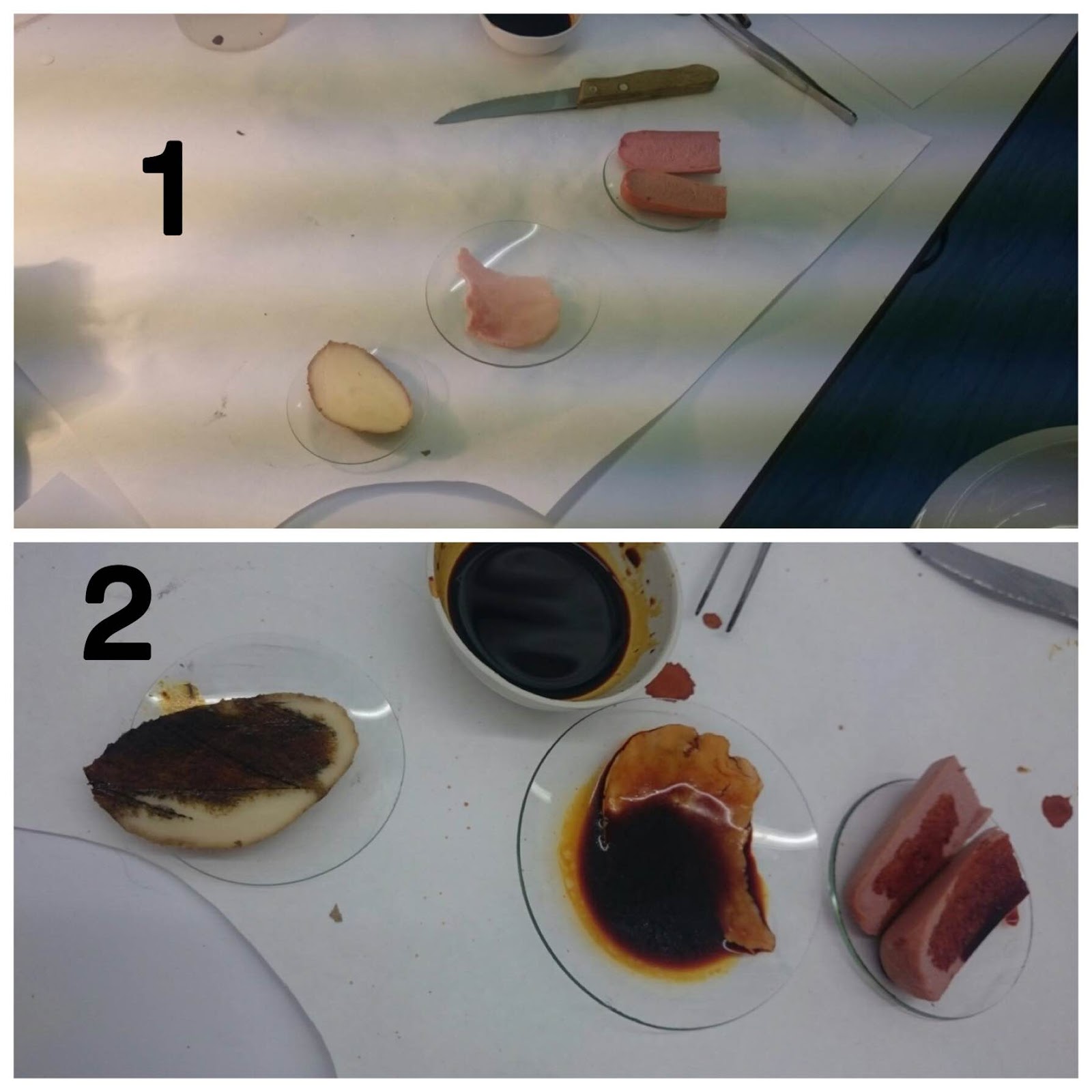 Dania's science lab blog : STARCH
