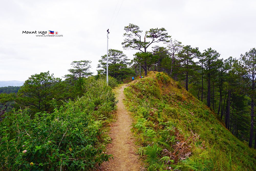 Philippines 菲律宾 | Mount Ugo 乌古山【传说中的杀头山】 - 乐飞翎 ♥ LUVFEELIN