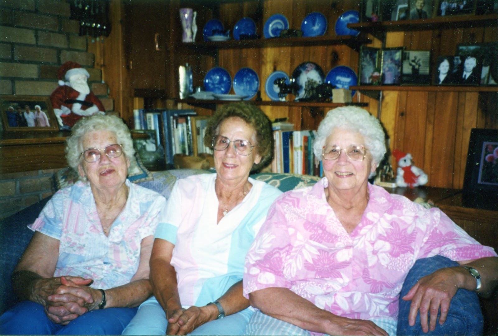 Paul V. & Karen S. Paulsen Family: Photos: Paulsen Siblings