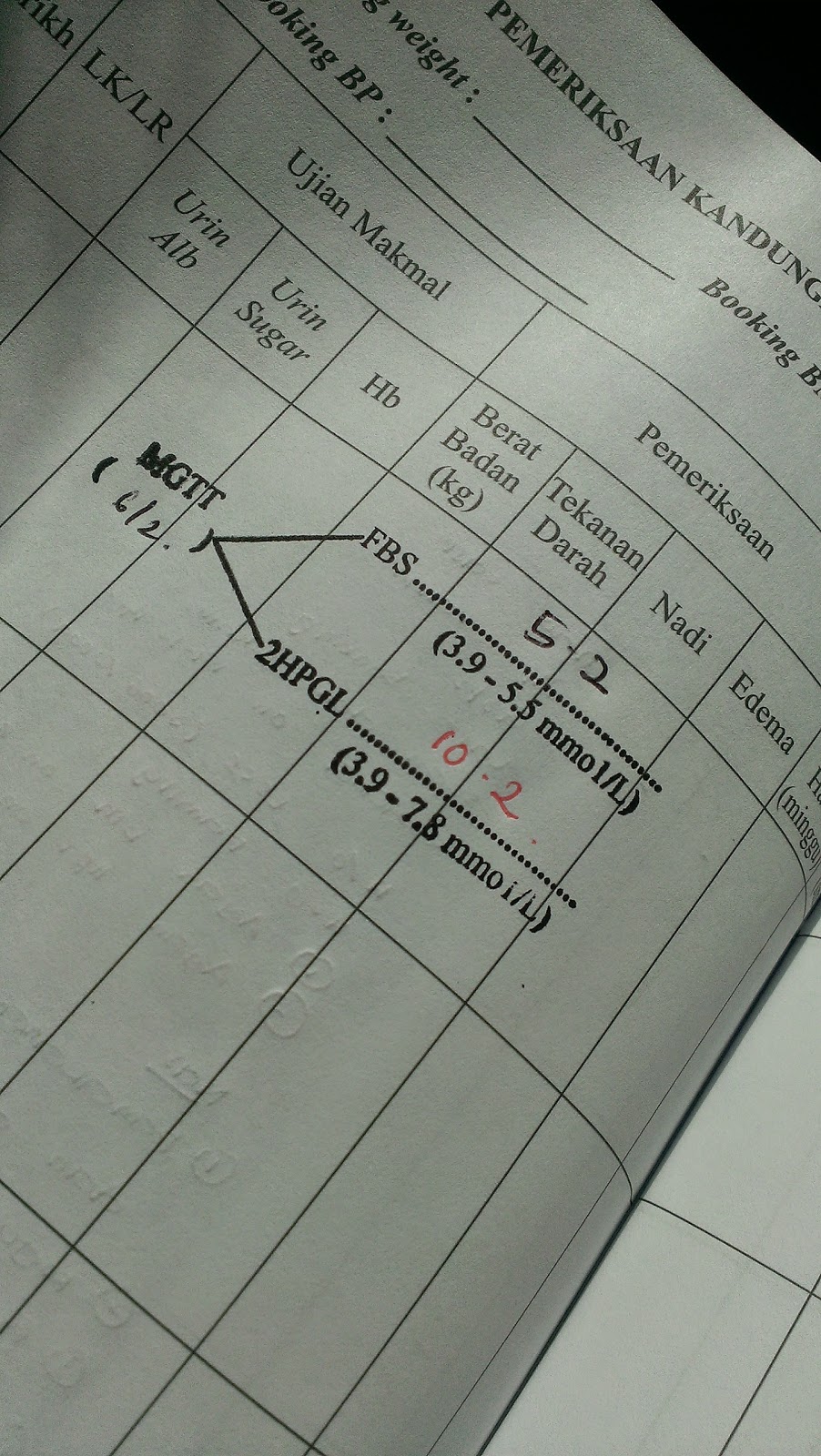 The Way of Love ~: ~ MGTT Test at 17weeks