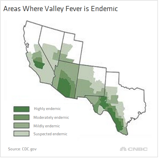 THE WESTERNER: The silent epidemic known as valley fever