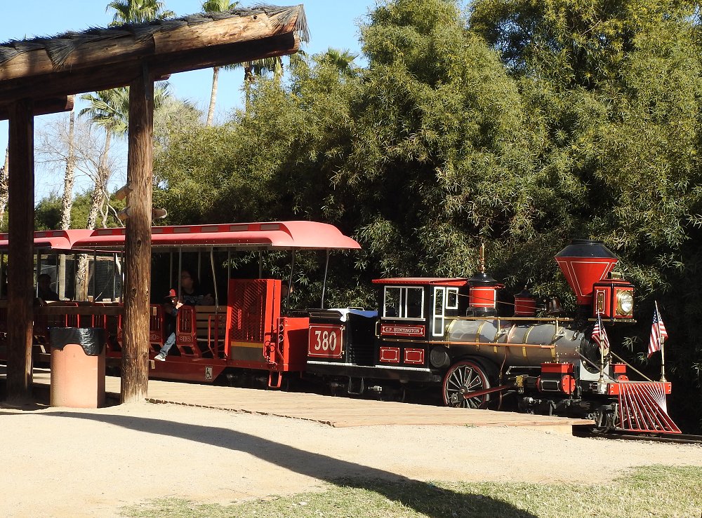 Kittling: Books: More from the Wildlife World Zoo