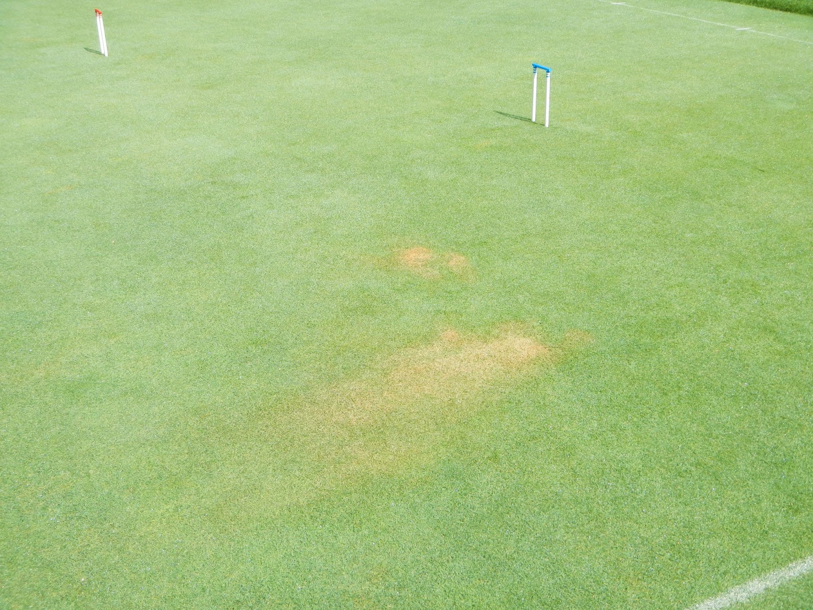 Highlands Falls Country Club Golf Course Maintenance: Bug Spray Disease