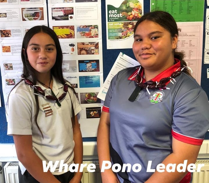 Room 10 Tokoroa Intermediate: Leadership in Room 10