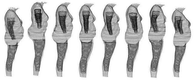 憤世嫉俗的營養人生: 以「偷肥理論」（TOFI:Thin-Outside-Fat-Inside），探討體重、體脂及BMI之迷思