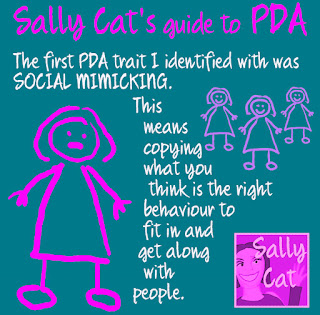 Sally Cat PDA: How I understand PDA (in language kids can understand)