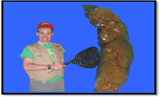 Gh WASH Times: Stopping Open Defecation With Shit Calculation Tool of CLTS