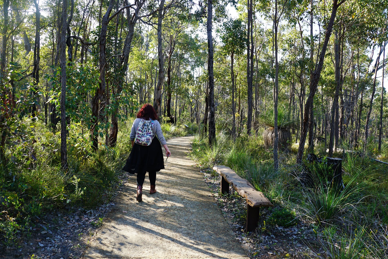 Jarrah Walk & Forest Path (Crooked Brook Forest) ~ The Long Way's Better