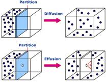 Blog of Chemistry: Diffusion and Effusion