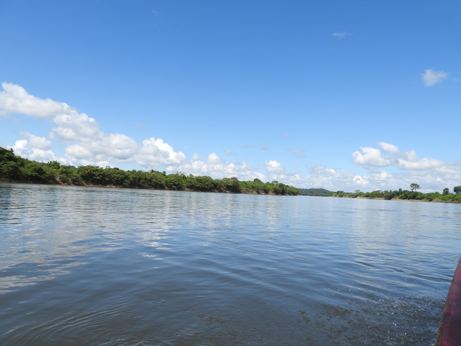 Bird & Travel Photos, Birding Sites, Bird Information: VIEW OF OTHER ...