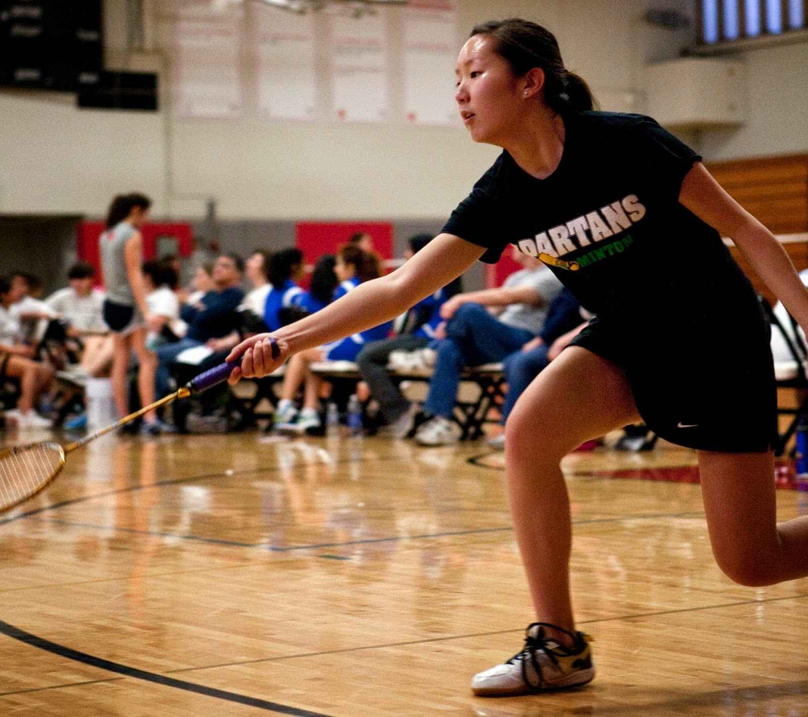 Mark Kodiak Ukena: IHSA Varsity Girls Badminton Meet at Deerfield High ...